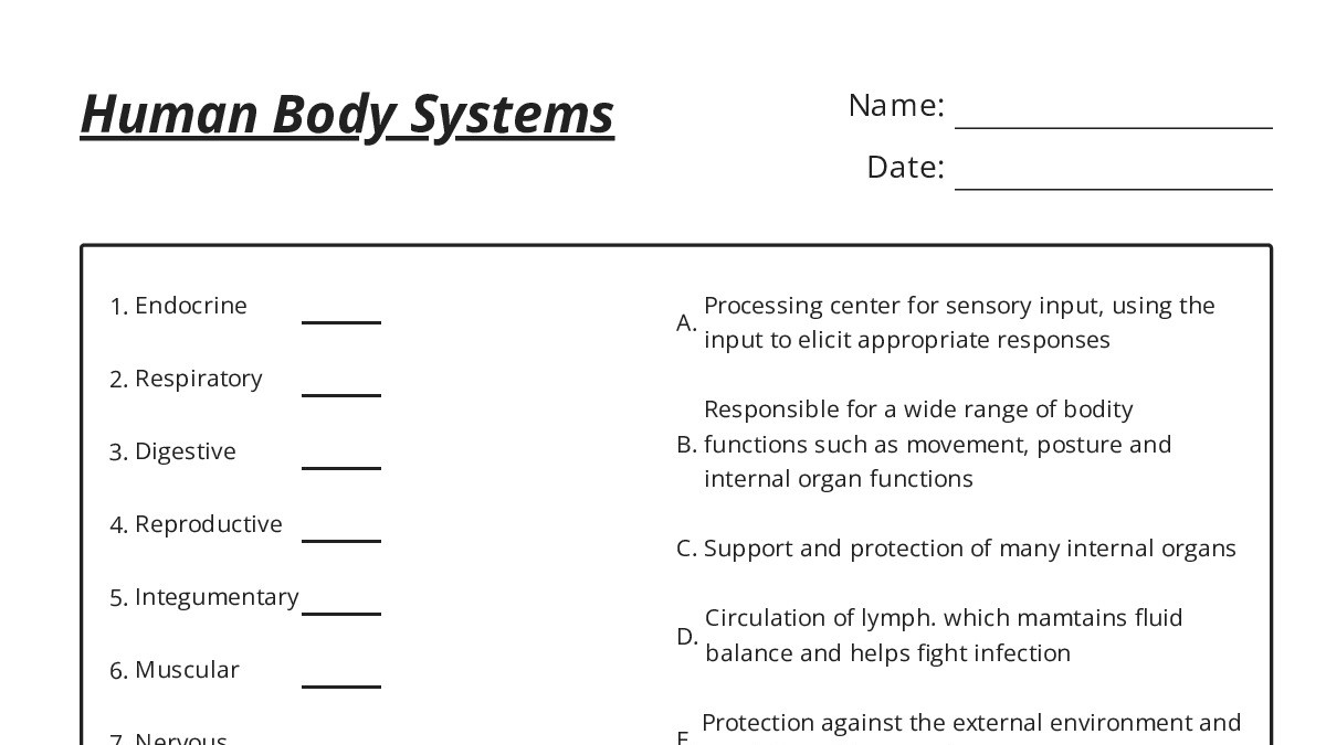 Human Body Systems - My Worksheet Maker: Create Your Own Worksheets