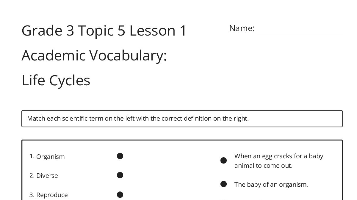 Grade 3 Topic 5 Lesson 1 Academic Vocabulary: Life Cycles - My ...