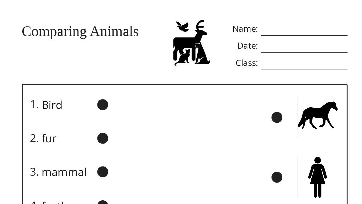 Comparing Animals - My Worksheet Maker: Create Your Own Worksheets