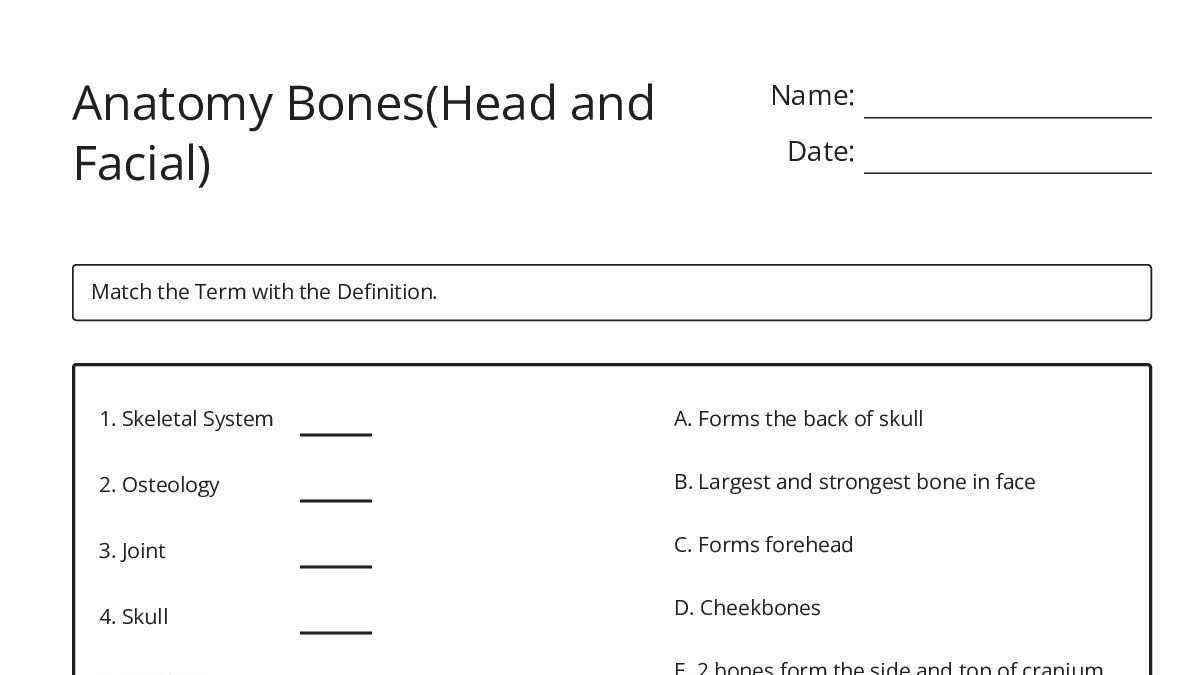 Anatomy Bones(Head and Facial) - My Worksheet Maker: Create Your Own ...