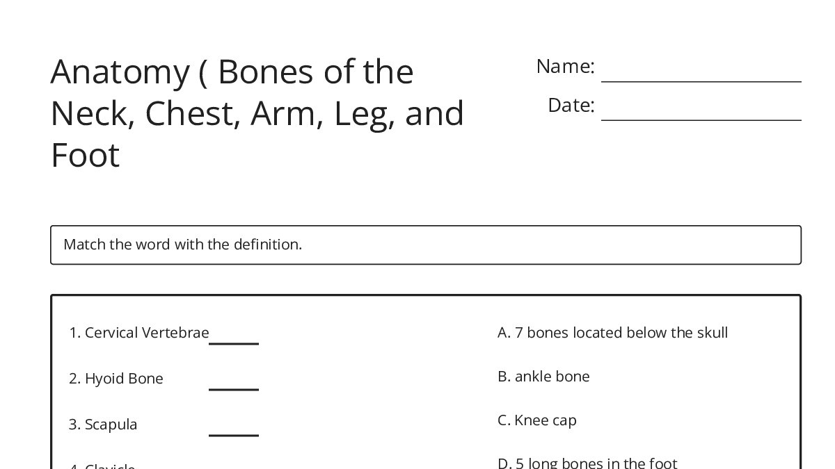 Anatomy ( Bones of the Neck, Chest, Arm, Leg, and Foot - My Worksheet ...