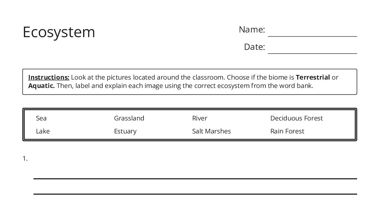 Ecosystem - My Worksheet Maker: Create Your Own Worksheets