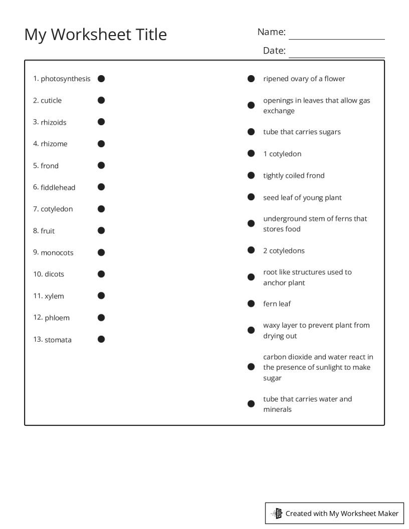 My Worksheet Title - My Worksheet Maker: Create Your Own Worksheets