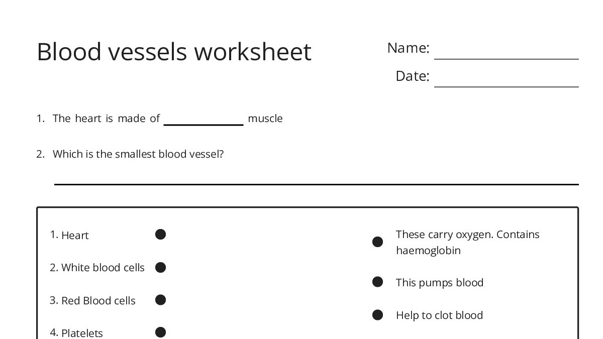 Blood vessels worksheet - My Worksheet Maker: Create Your Own Worksheets