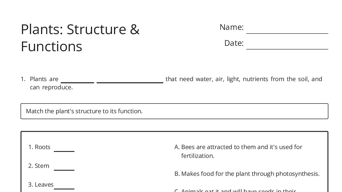 Plants: Structure & Functions - My Worksheet Maker: Create Your Own ...