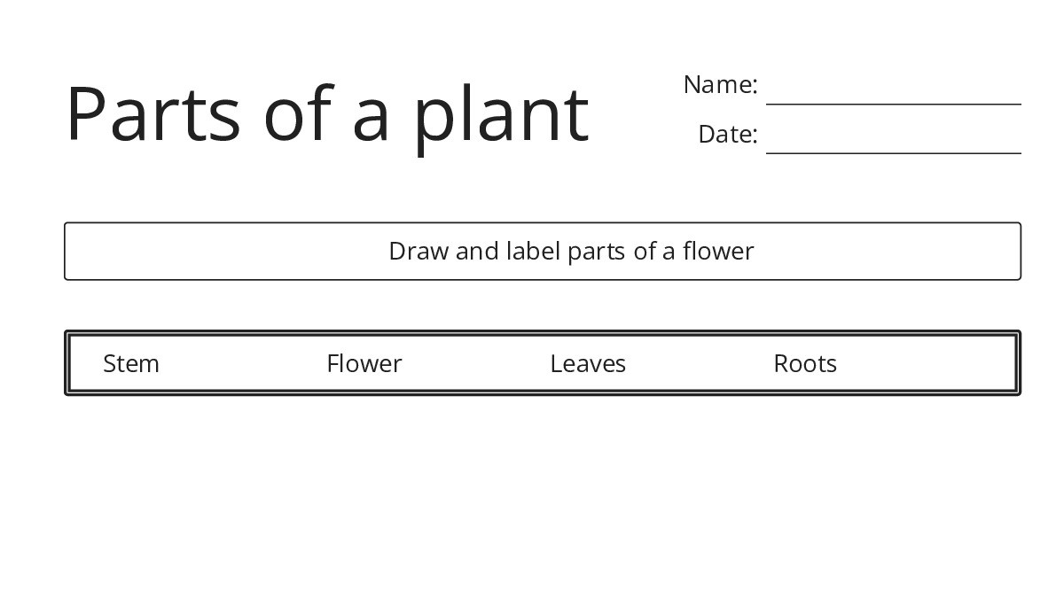 Parts of a plant - My Worksheet Maker: Create Your Own Worksheets