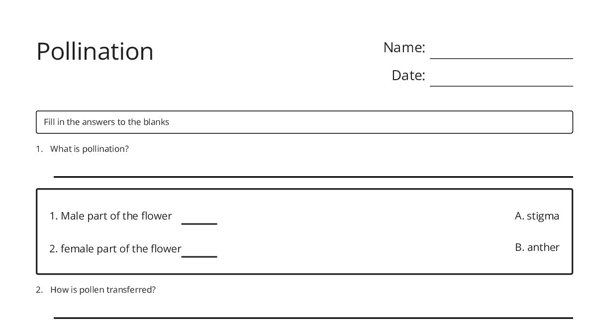 Pollination - My Worksheet Maker: Create Your Own Worksheets