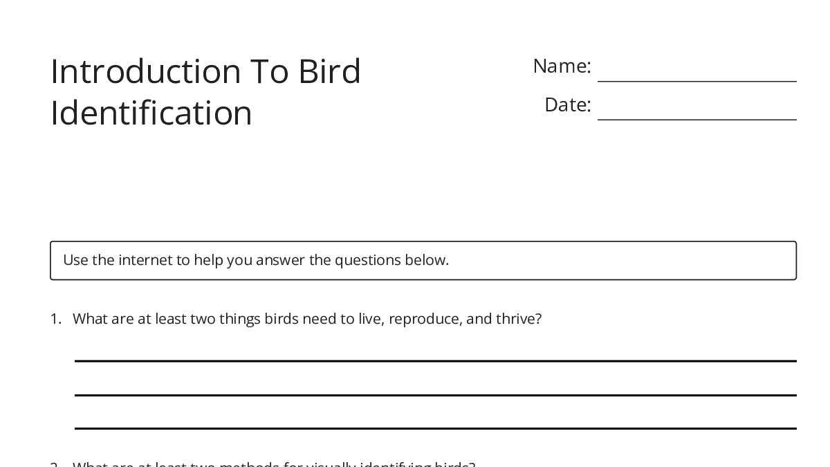 Introduction To Bird Identification - My Worksheet Maker: Create Your ...