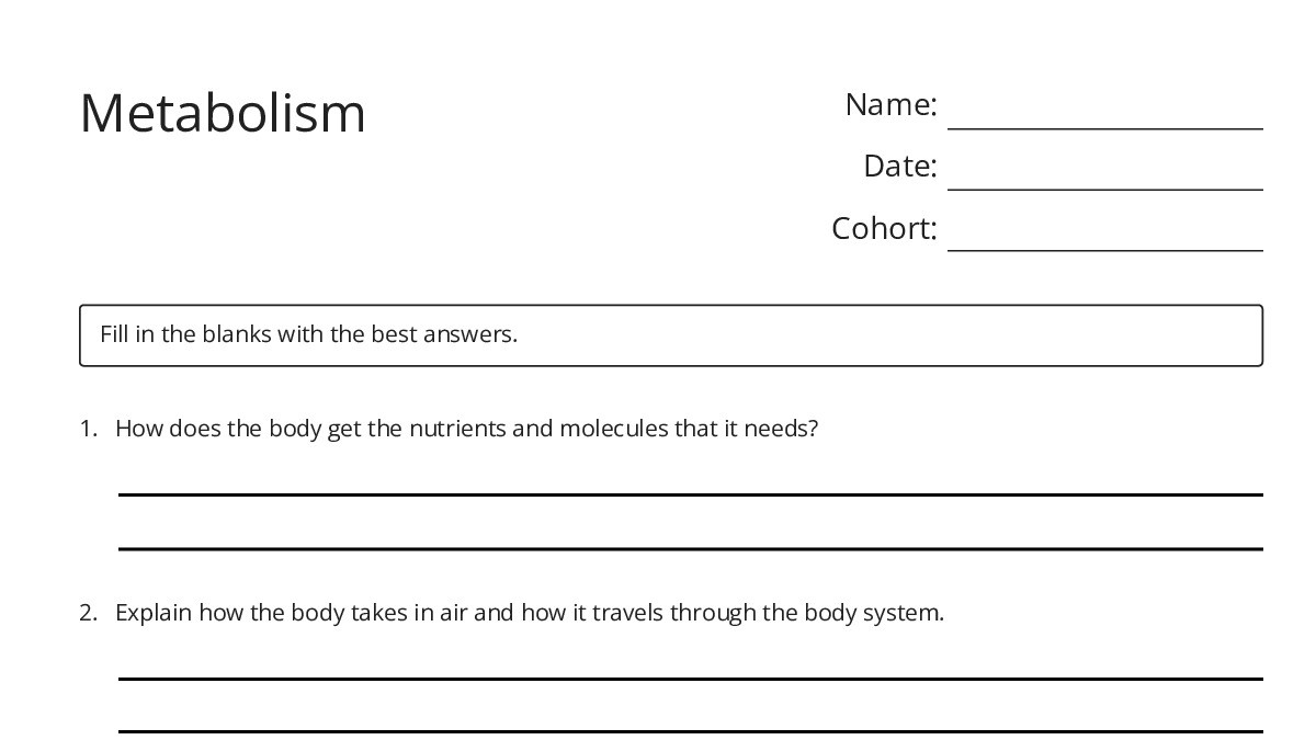 Metabolism - My Worksheet Maker: Create Your Own Worksheets