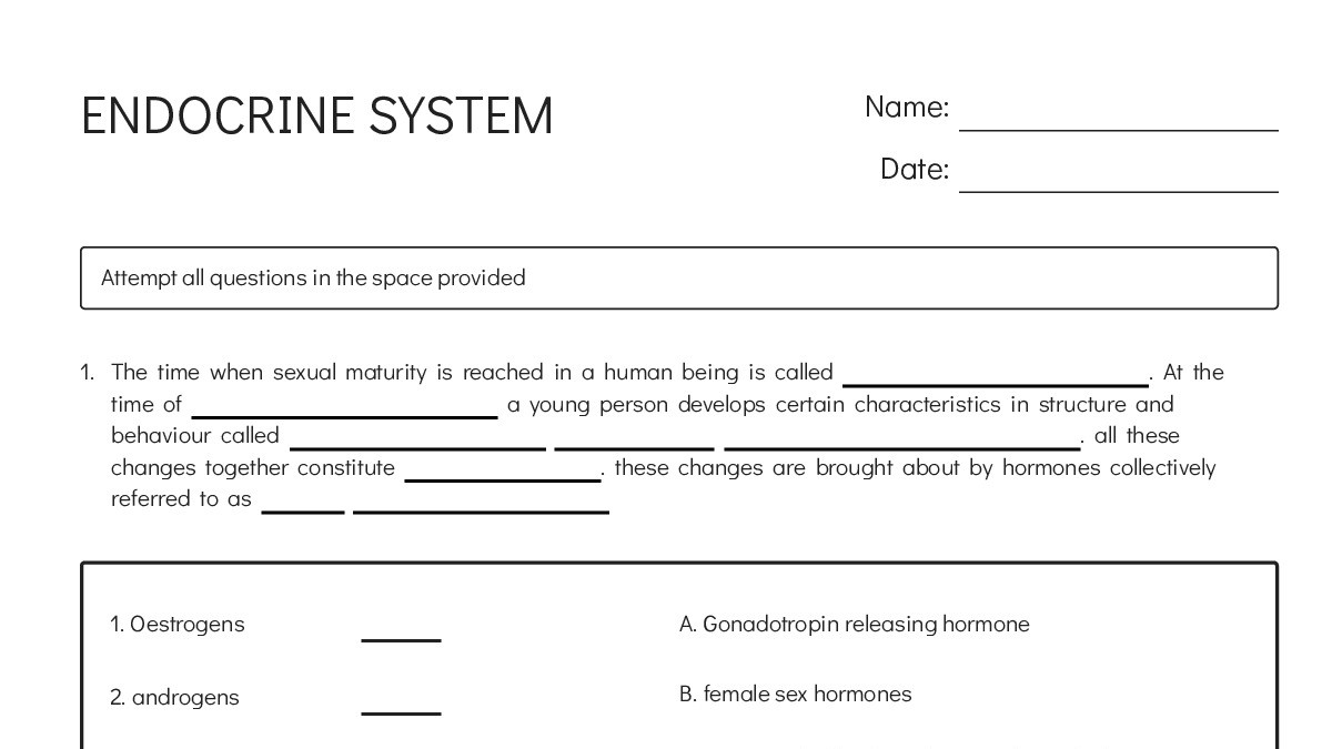 ENDOCRINE SYSTEM - My Worksheet Maker: Create Your Own Worksheets