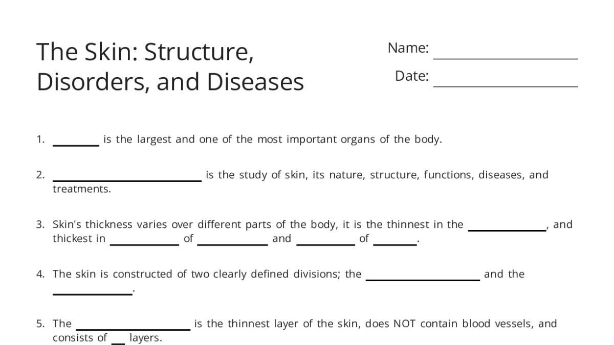 The Skin: Structure, Disorders, and Diseases - My Worksheet Maker ...