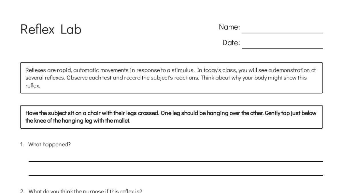 Reflex Lab - My Worksheet Maker: Create Your Own Worksheets