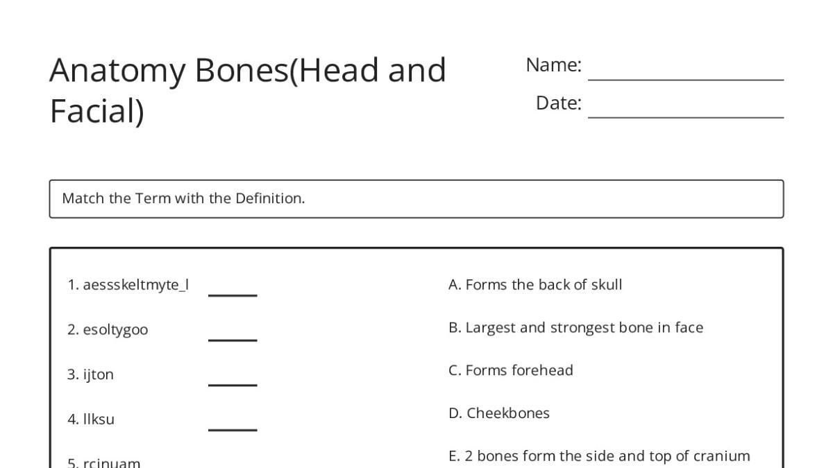 Anatomy Bones(Head and Facial) - My Worksheet Maker: Create Your Own ...