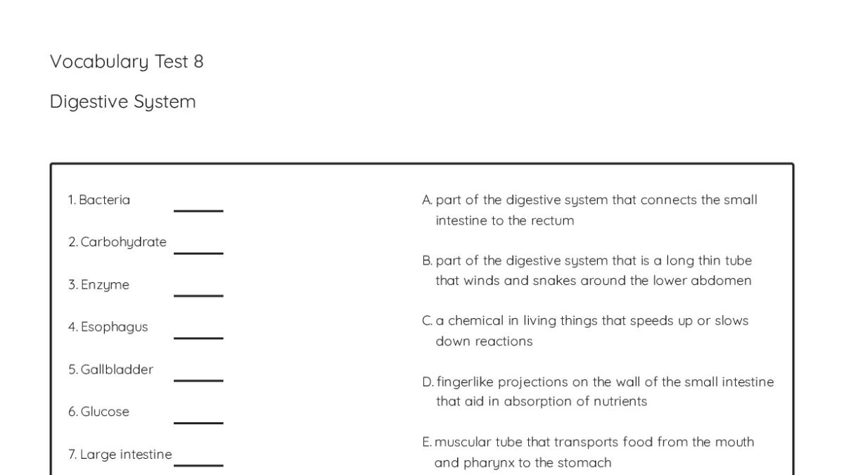 Vocabulary Test 8 Digestive System - My Worksheet Maker: Create Your ...