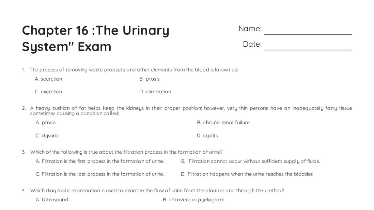Chapter 16 :The Urinary System" Exam - My Worksheet Maker: Create Your ...