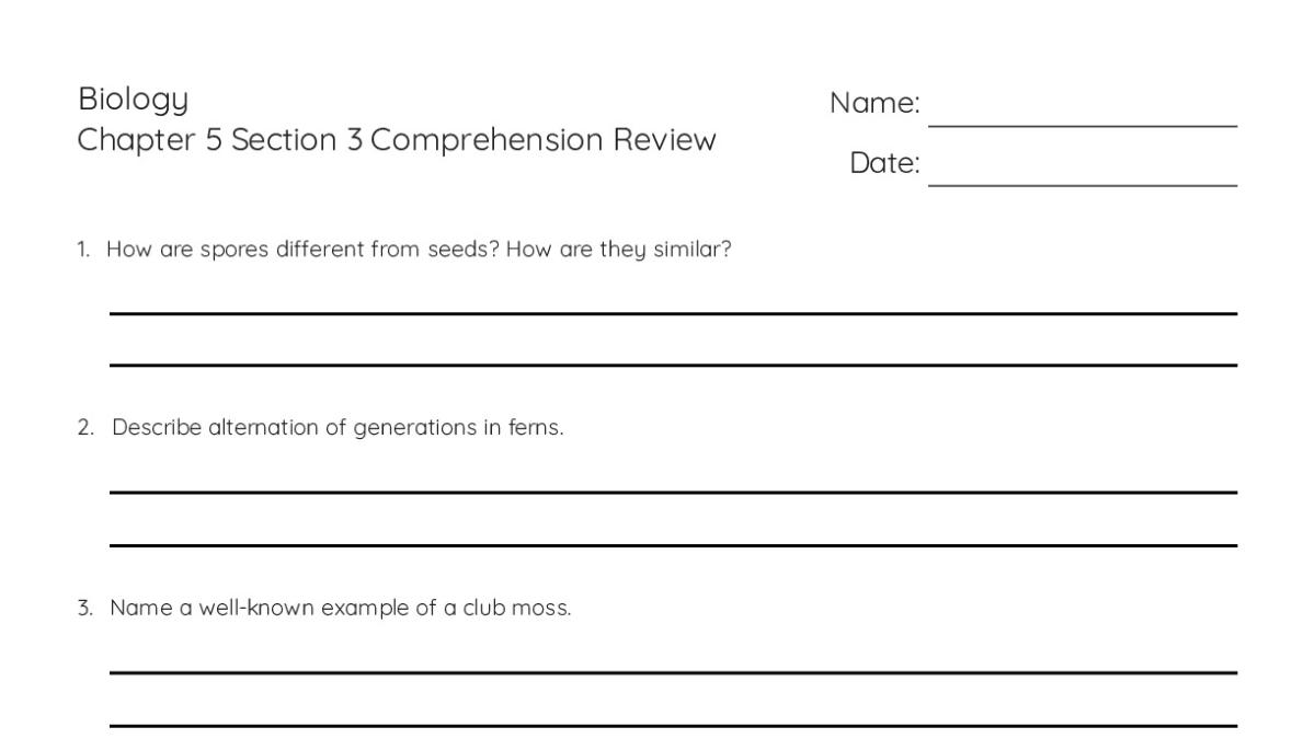 Biology Chapter 5 Section 3 Comprehension Review - My Worksheet Maker ...