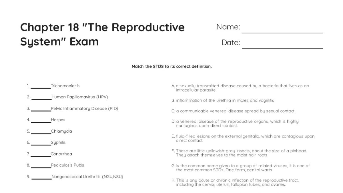 Chapter 18 "The Reproductive System" Exam - My Worksheet Maker: Create ...