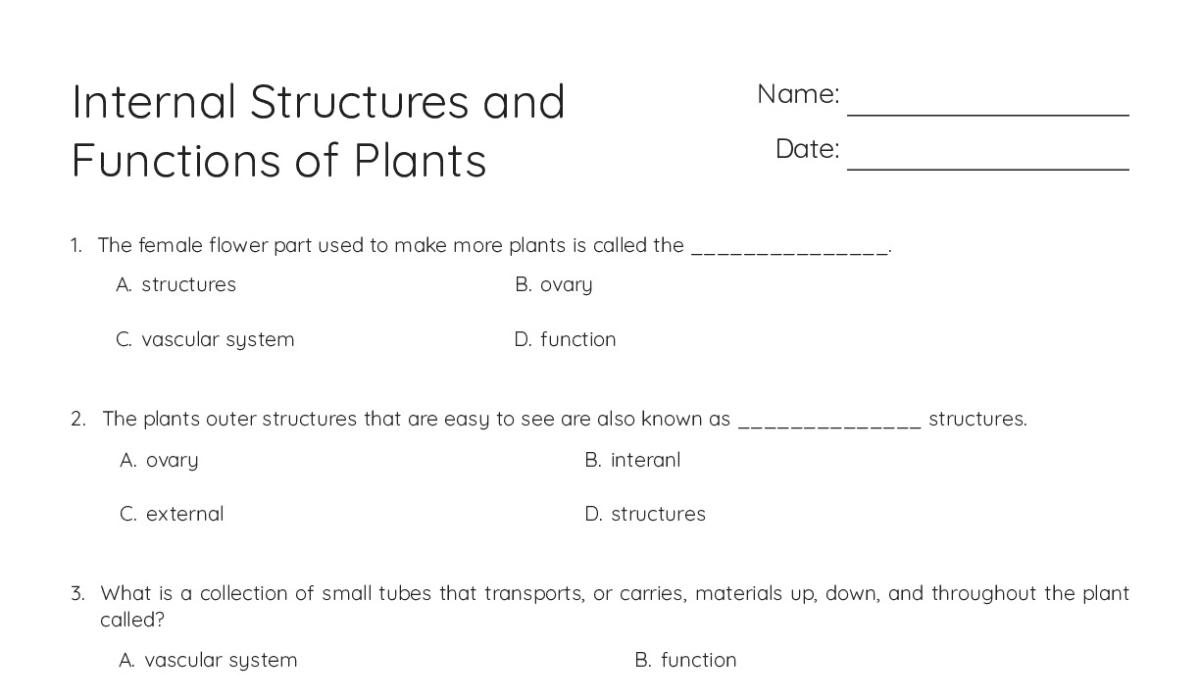 Internal Structures and Functions of Plants - My Worksheet Maker ...