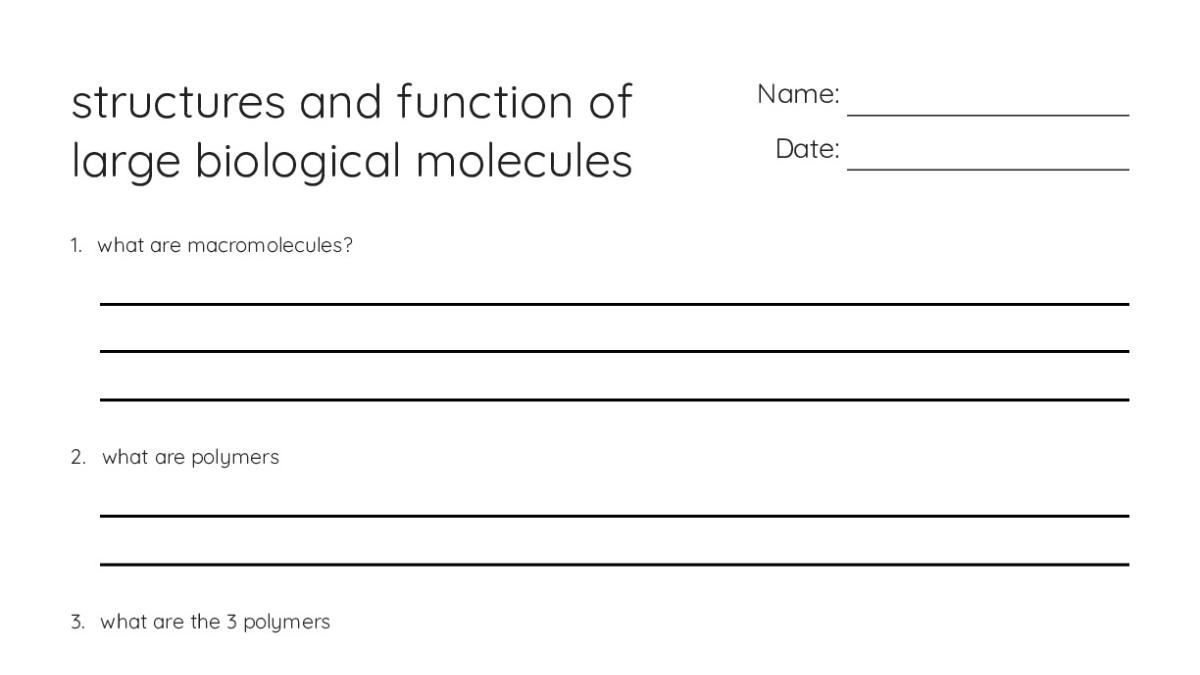 structures and function of large biological molecules - My Worksheet ...