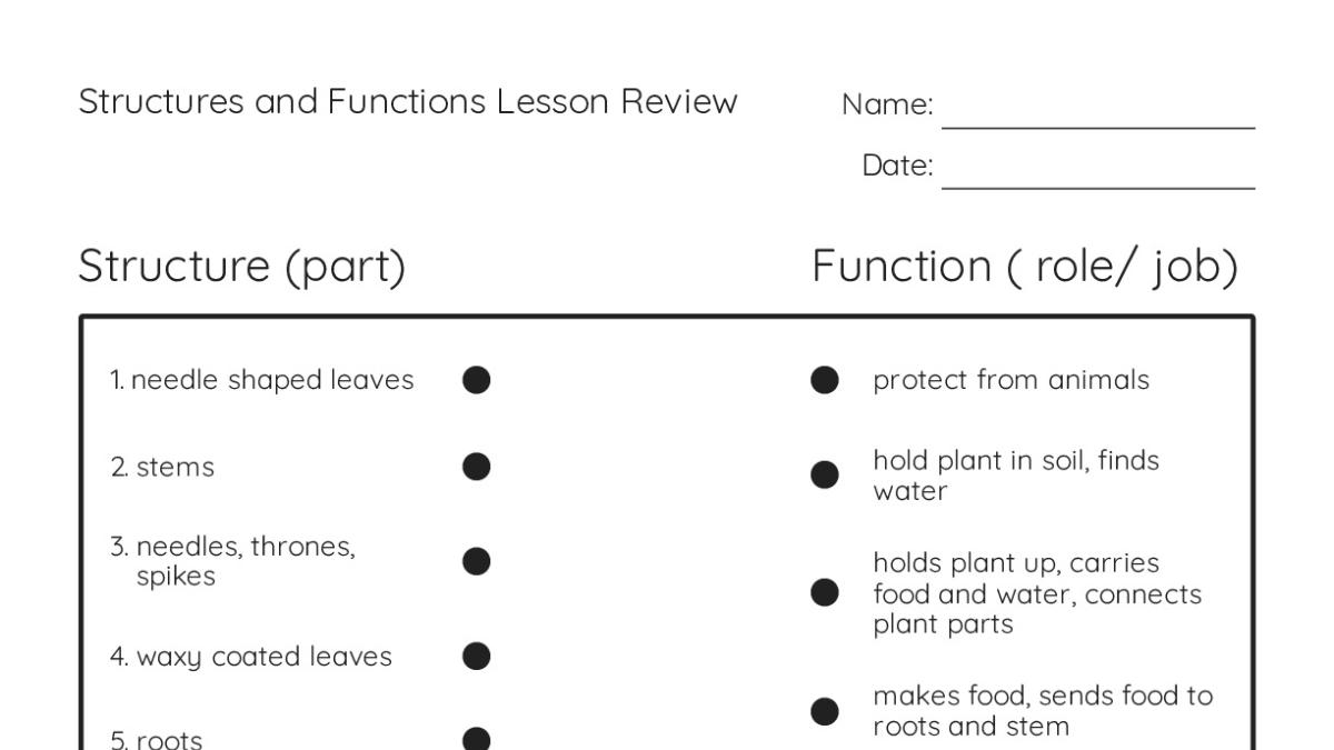 Structures and Functions Lesson Review - My Worksheet Maker: Create ...
