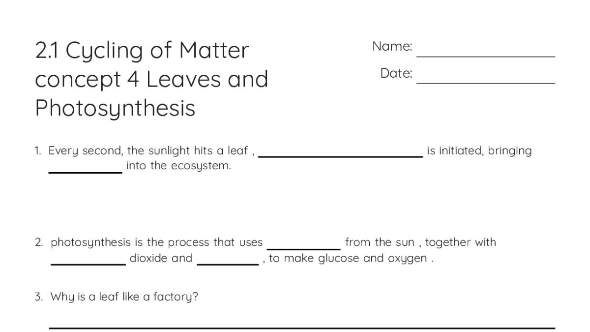 2.1 Cycling of Matter concept 4 Leaves and Photosynthesis - My ...