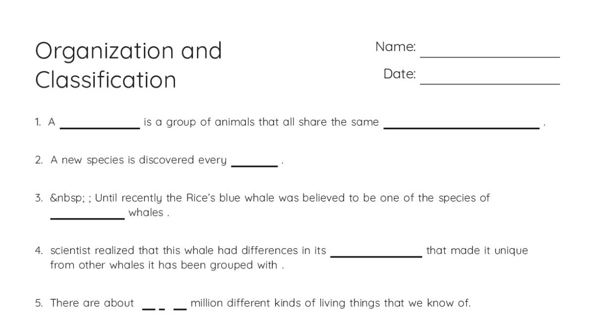 Organization and Classification - My Worksheet Maker: Create Your Own ...