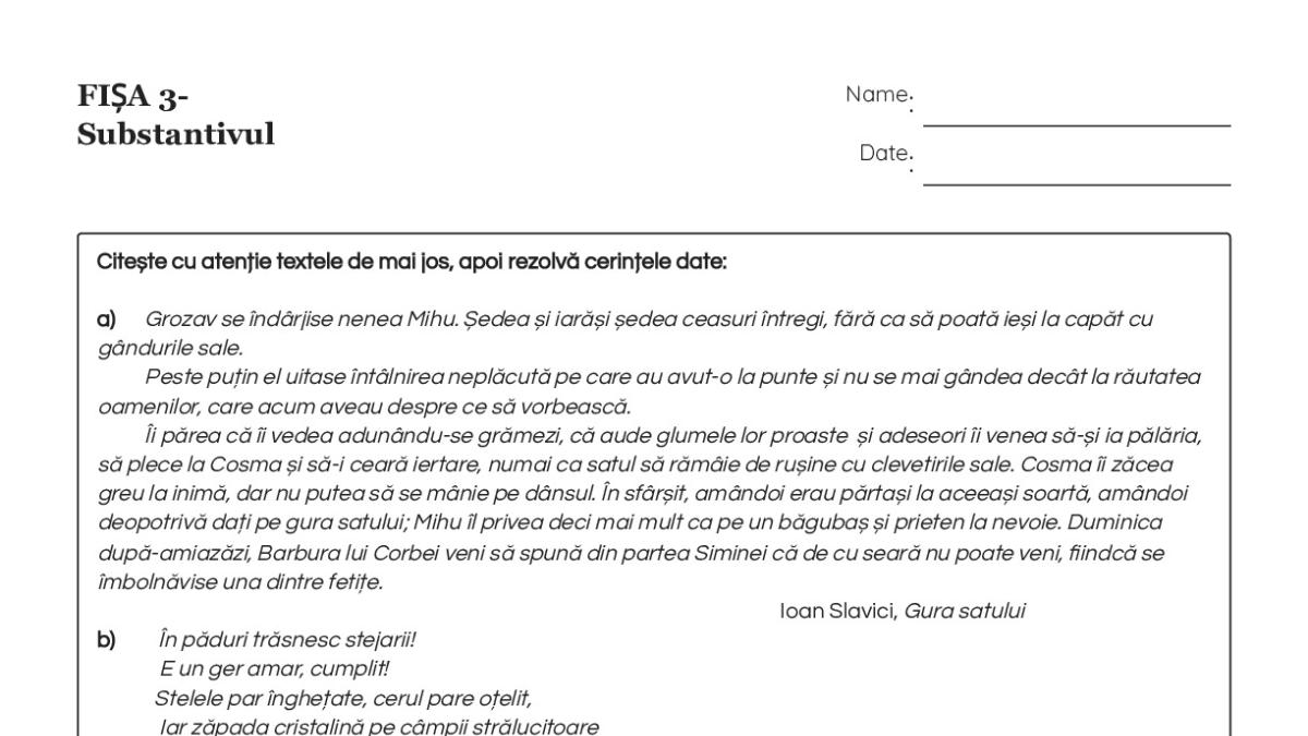 FIȘA 3- Substantivul - My Worksheet Maker: Create Your Own Worksheets