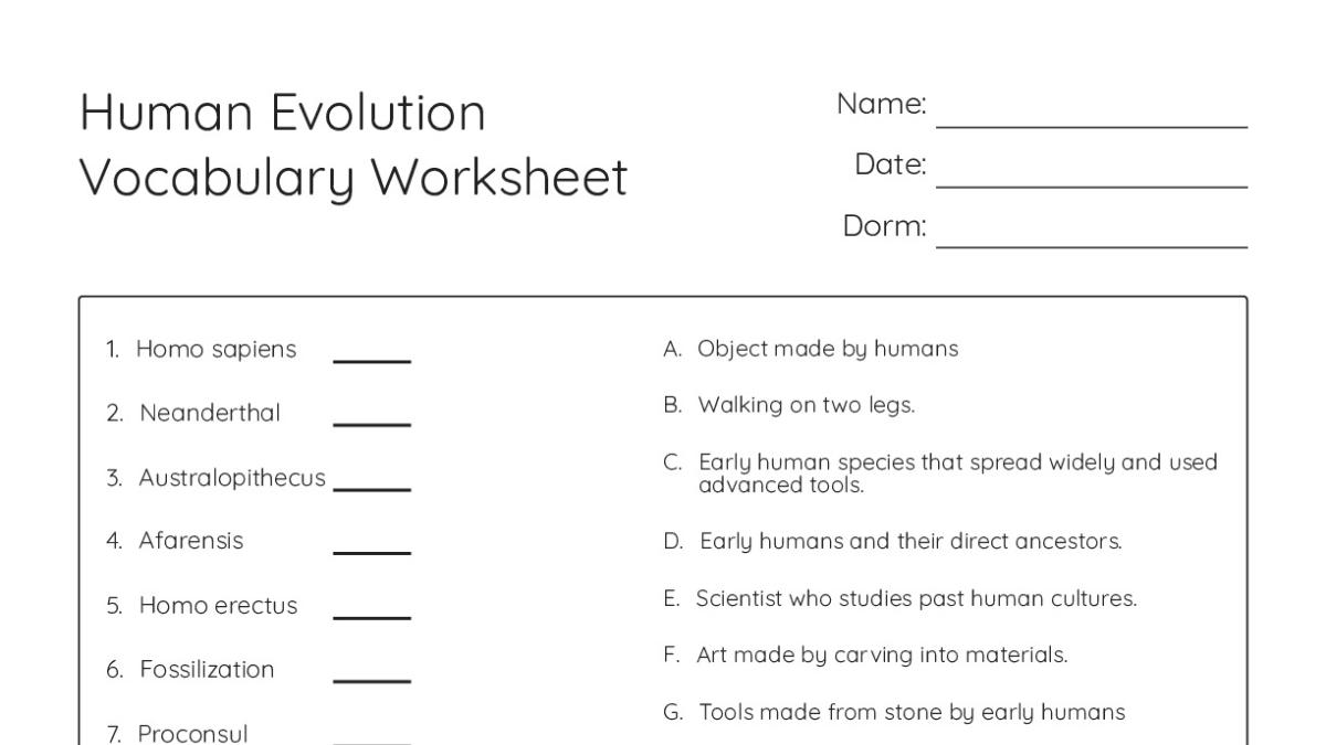 Human Evolution Vocabulary Worksheet - My Worksheet Maker: Create Your ...