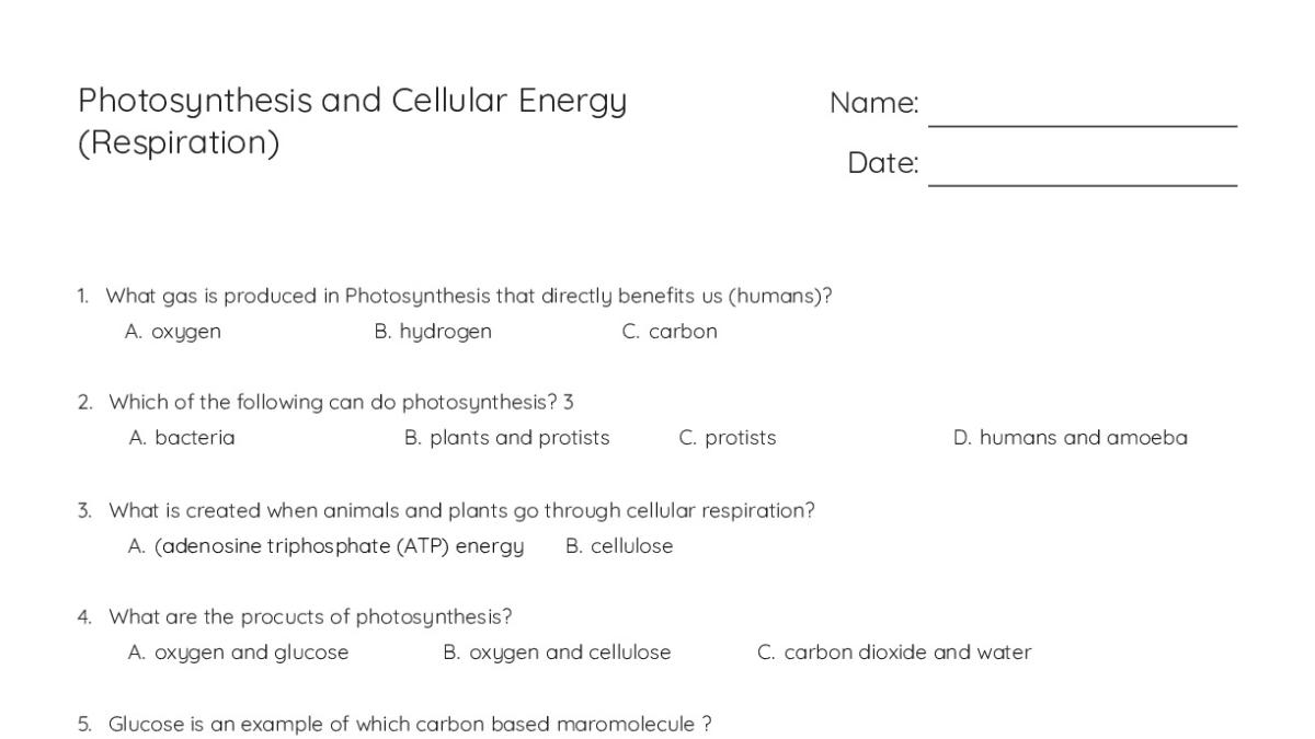 Photosynthesis and Cellular Energy (Respiration) - My Worksheet Maker ...