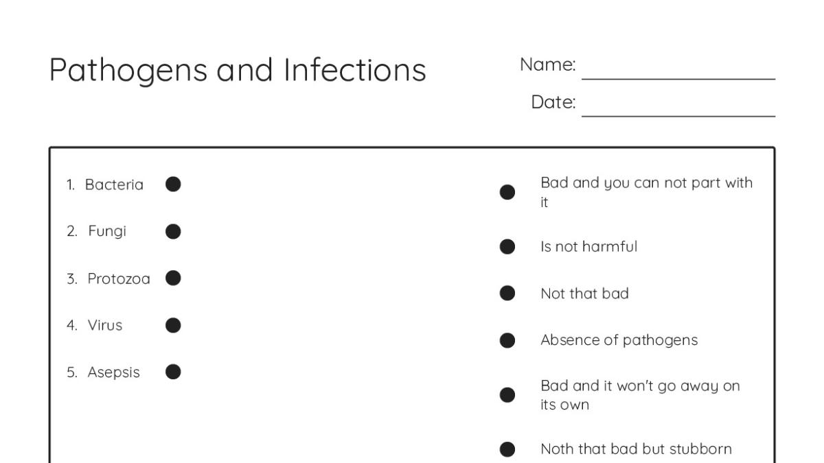Pathogens and Infections - My Worksheet Maker: Create Your Own Worksheets