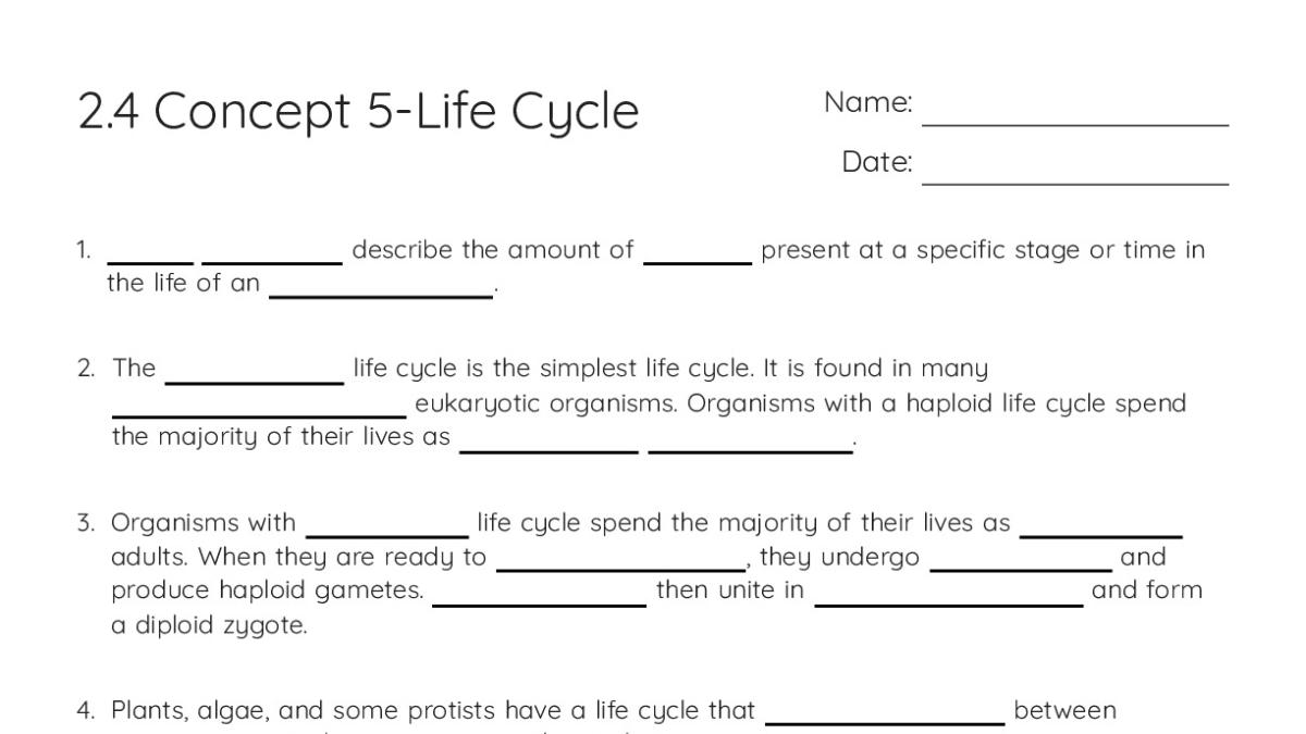 2.4 Concept 5-Life Cycle - My Worksheet Maker: Create Your Own Worksheets