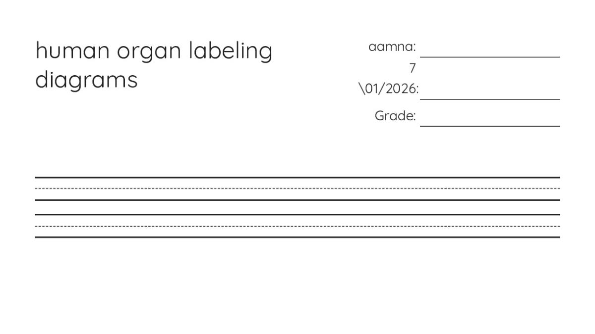 human organ labeling diagrams - My Worksheet Maker: Create Your Own ...