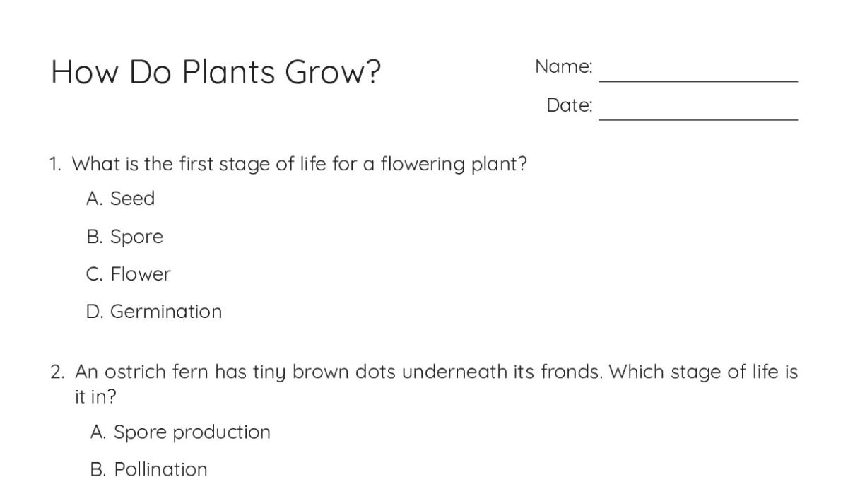How Do Plants Grow? - My Worksheet Maker: Create Your Own Worksheets