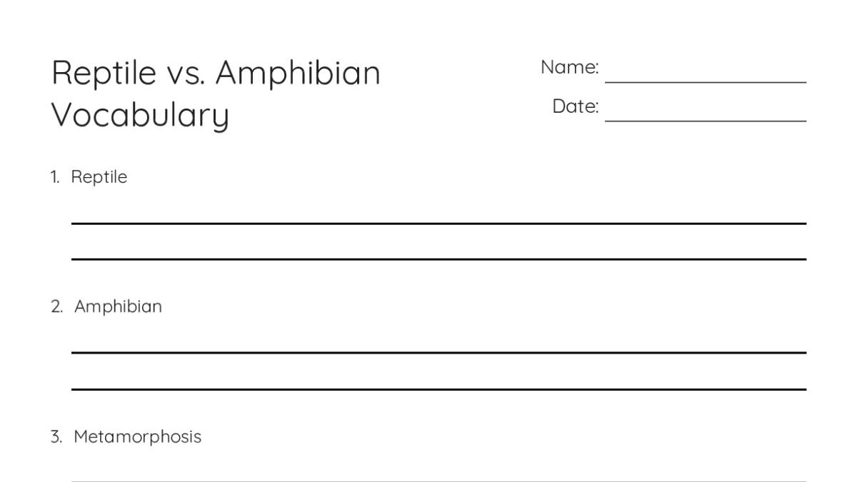Reptile vs. Amphibian Vocabulary - My Worksheet Maker: Create Your Own ...
