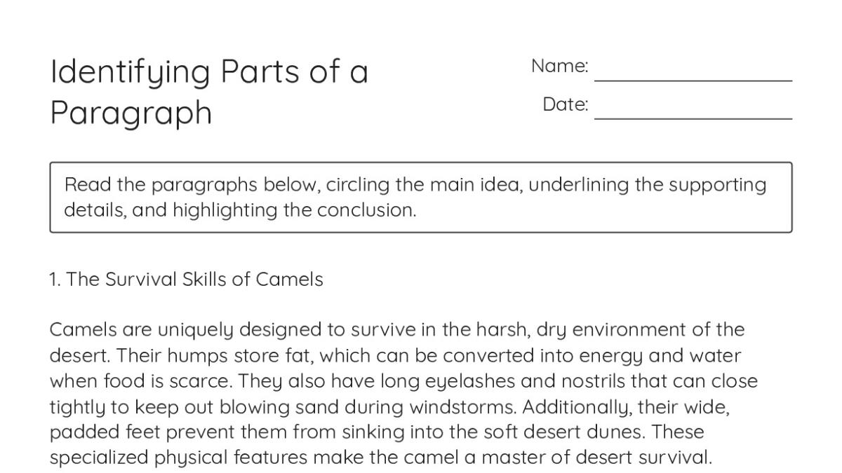 Identifying Parts of a Paragraph - My Worksheet Maker: Create Your Own ...