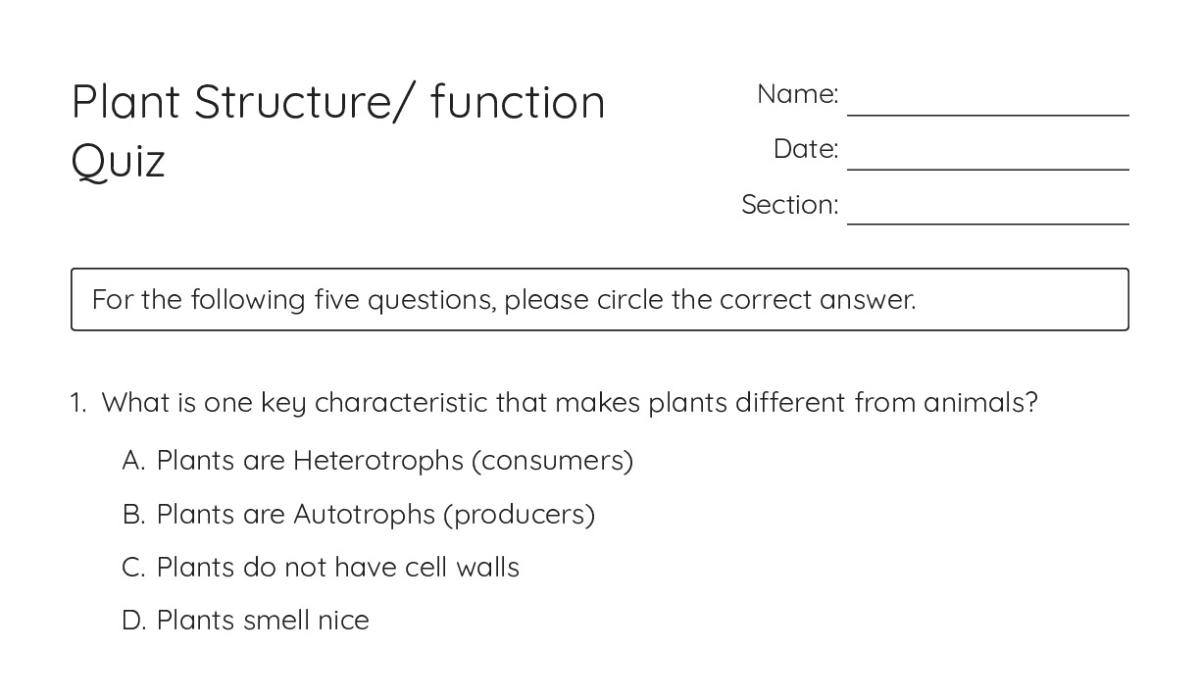 Plant Structure/ function Quiz - My Worksheet Maker: Create Your Own ...