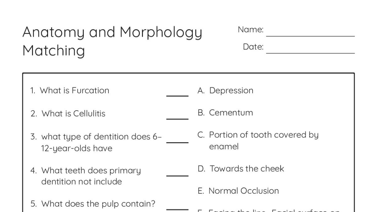 Anatomy and Morphology Matching - My Worksheet Maker: Create Your Own ...